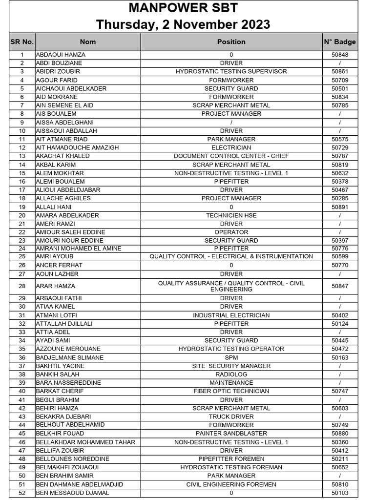 Manpower SBT | PDF | Engineering | Civil Engineering