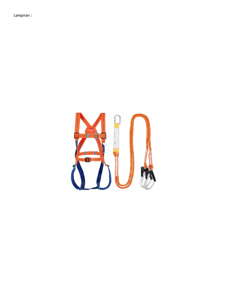 Inspection Full Body Harness | PDF