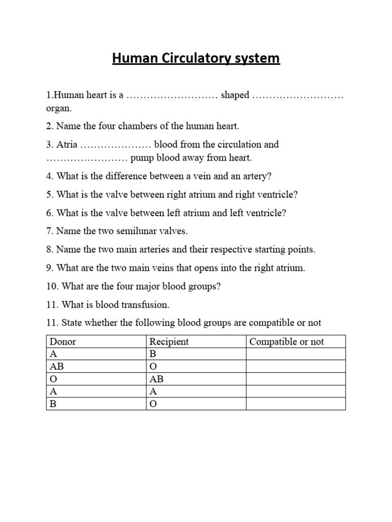 Circulatory System | PDF