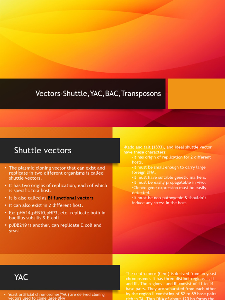 Vectors Shuttle, YAC, BAC, Transposons | PDF | Transposable Element | Plasmid