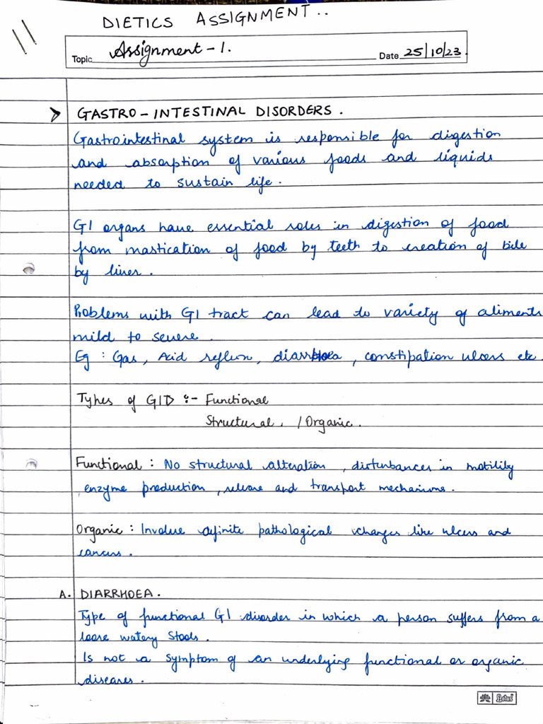 Dan Assignment | PDF