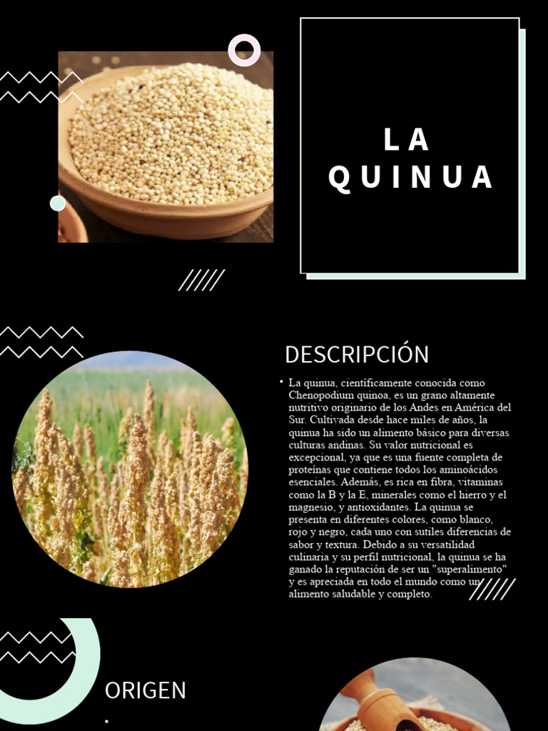 La Quinua | PDF | Quinua | Nutrición