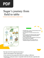 Sucrose Extraction From Sugar Cane | PDF | Sugarcane | Sucrose