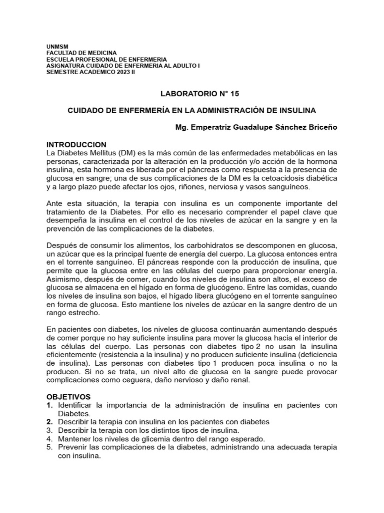 15 Lab Administración de Insulina LUPE | PDF | Insulina | Inyección ...