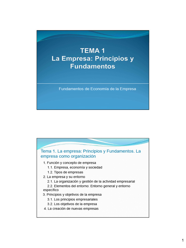 Tema 1. La Empresa. Principios y Fundamentos | PDF | Business | Negocios económicos