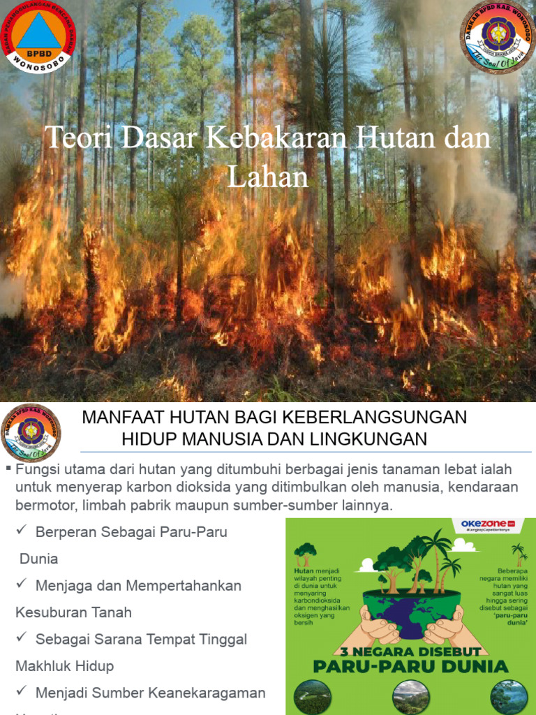 Teori Dasar Kebakaran Hutan Dan Lahan MPA | PDF
