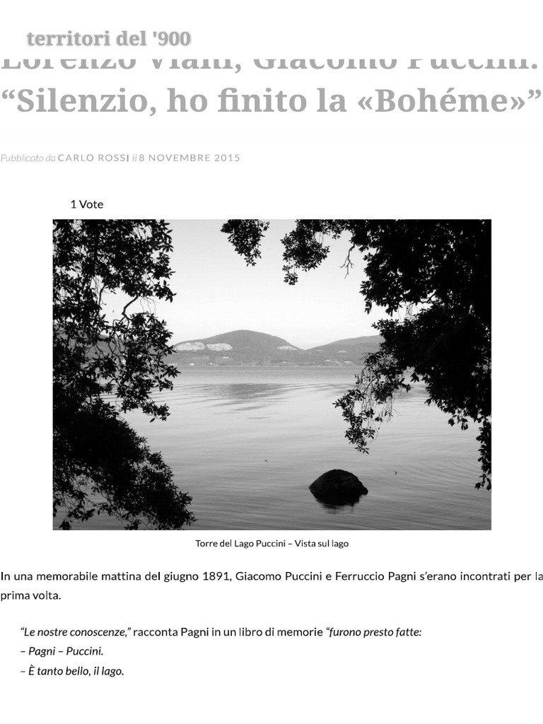 Ho finito la Boheme. racconto | PDF