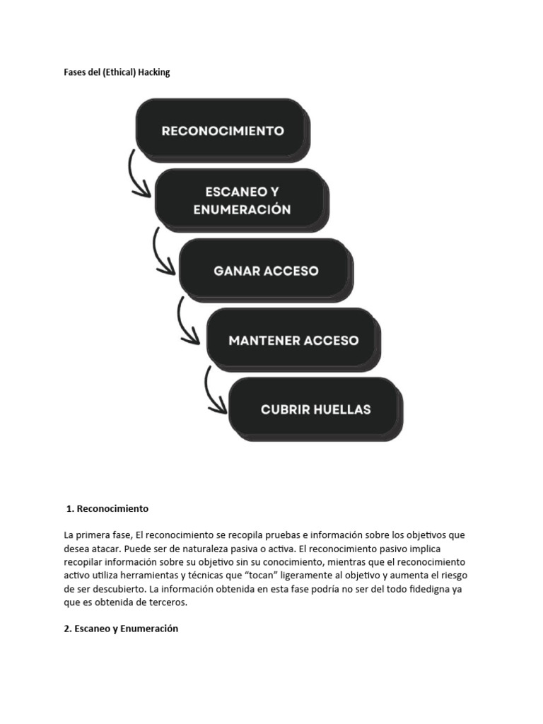 Fases del Hacking Ético Desglosadas | PDF | Vulnerabilidad (informática ...