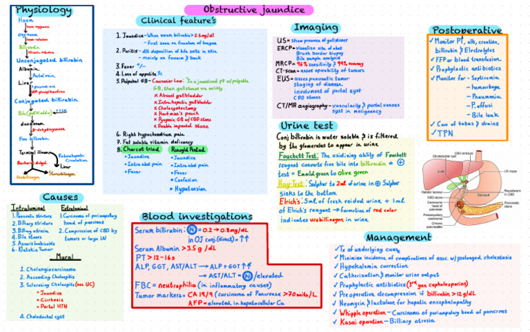 General Surgery | PDF | Gallbladder | Digestive Diseases