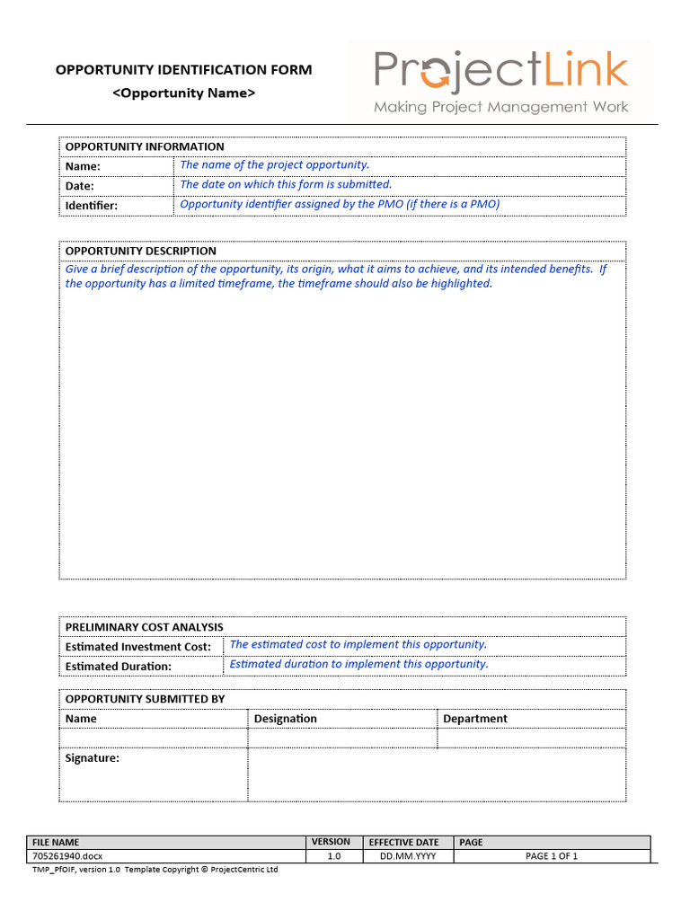 Project Opportunity Template | PDF