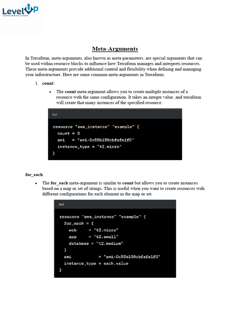 Meta Arguments | PDF