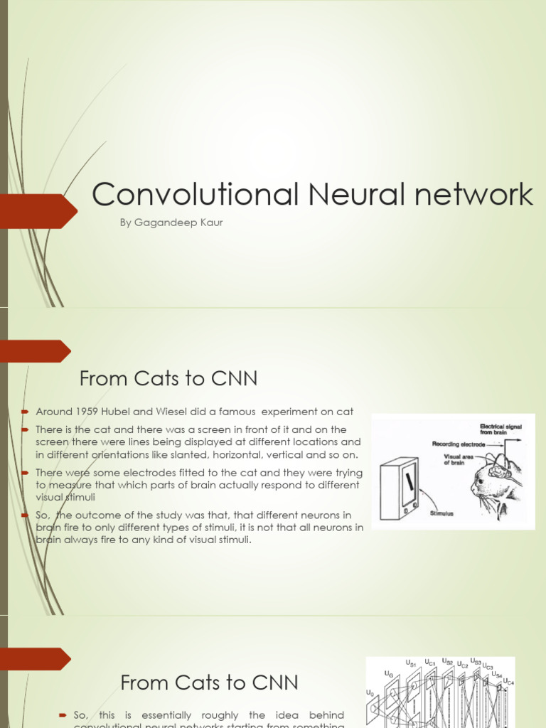 Convolutional Neural Network: by Gagandeep Kaur | PDF | Computational Neuroscience | Systems Science