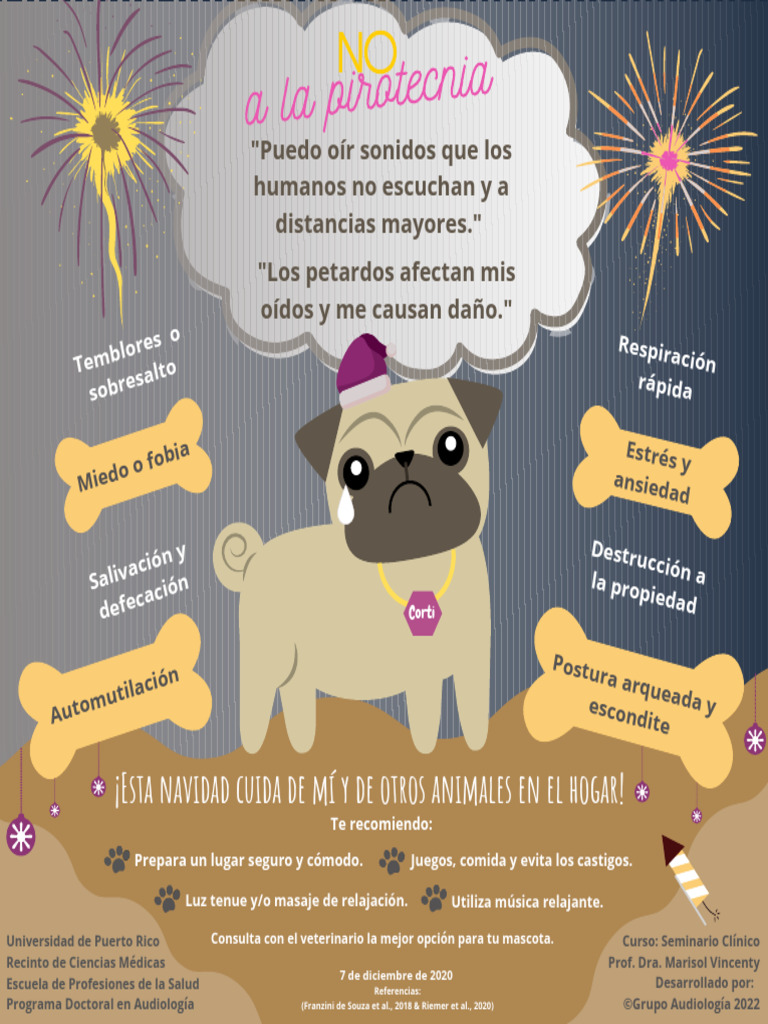 Piroro Tec Nia Pdf Ruido Audiología