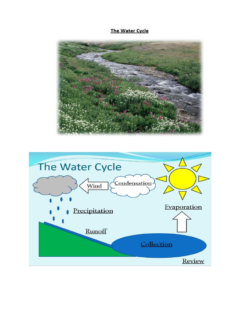 Water Cycle | PDF