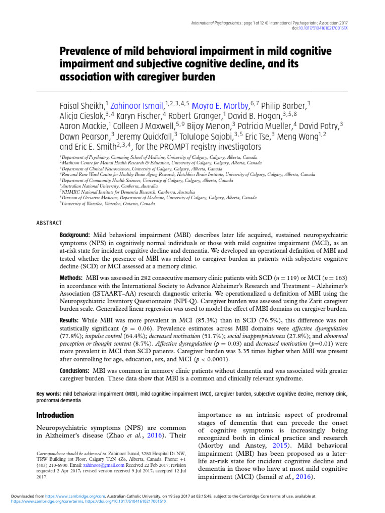 Cognitive Impairment 1 30 Scale