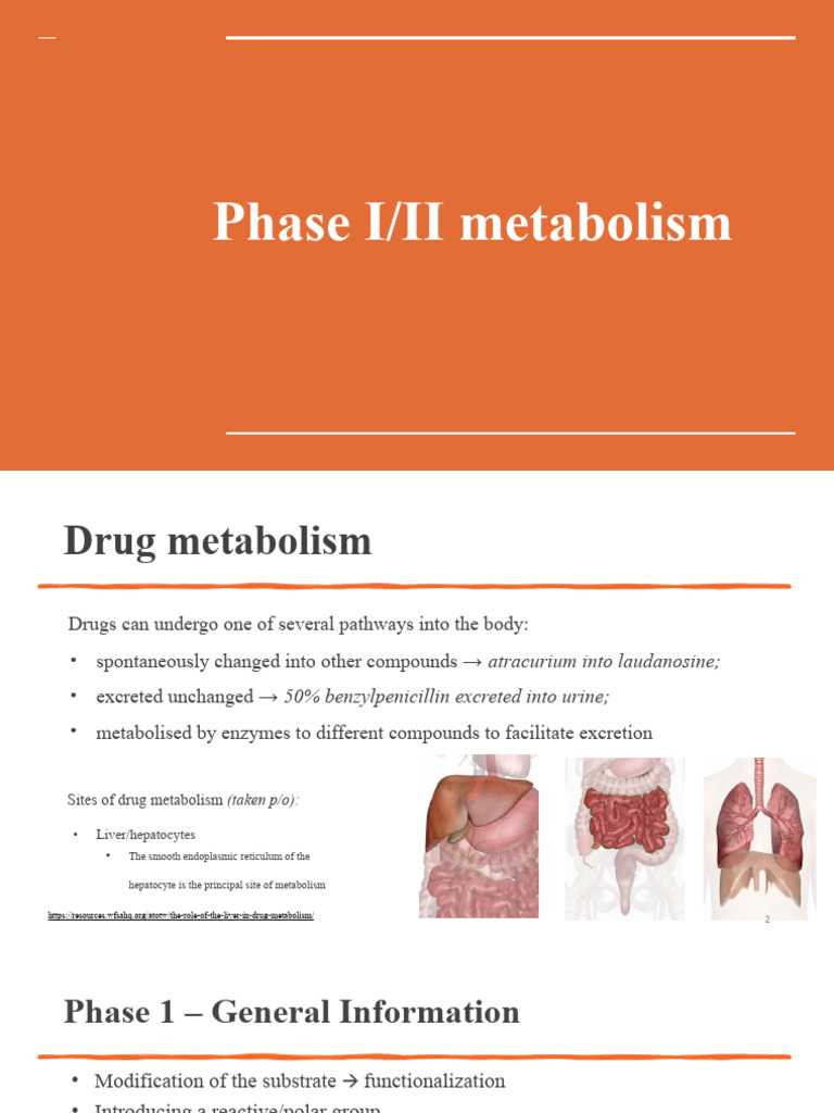 Drug Metabolism: Phase I & II Overview | PDF | Drug Metabolism ...