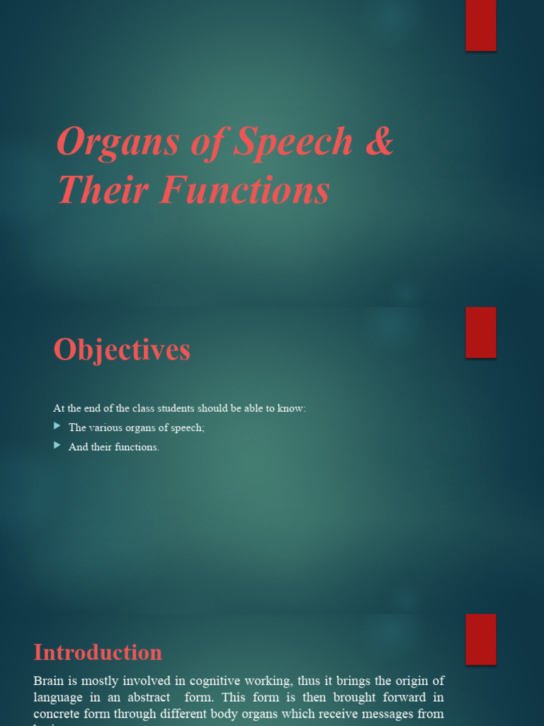 Organs of Speech & Their Functions | PDF | Larynx | Phonetics
