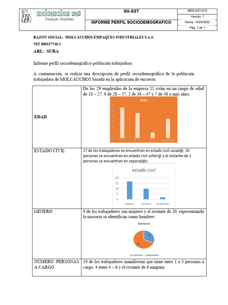 REG-SST-013 Informe Perfil Sociodemografico | PDF