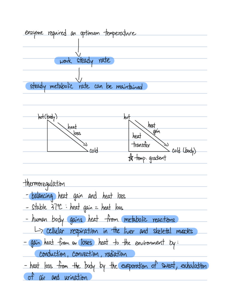 Optimizing Body Temperature Regulation | PDF | Science & Mathematics
