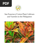 Buri Fiber - Nature and Uses | PDF | Textiles | Trees