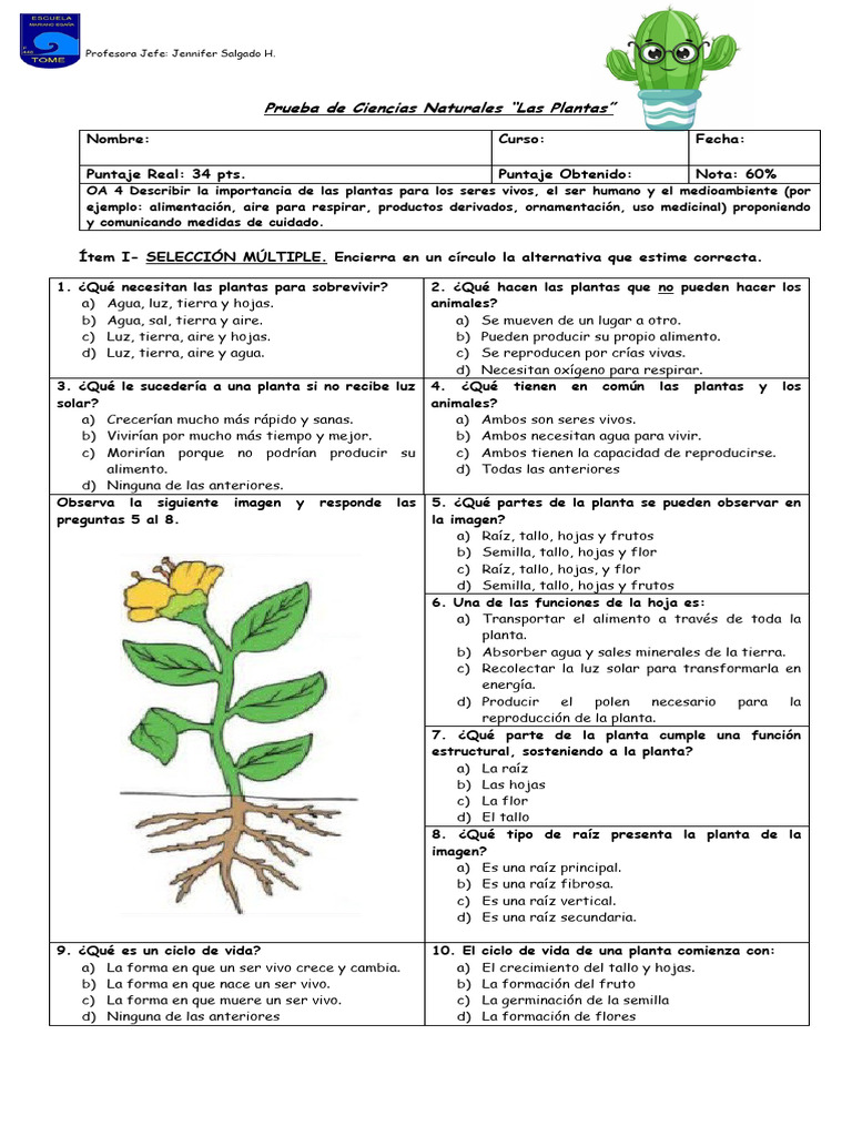 prueba de ciencias las plantas 3° 2021 | PDF | Flores | Plantas