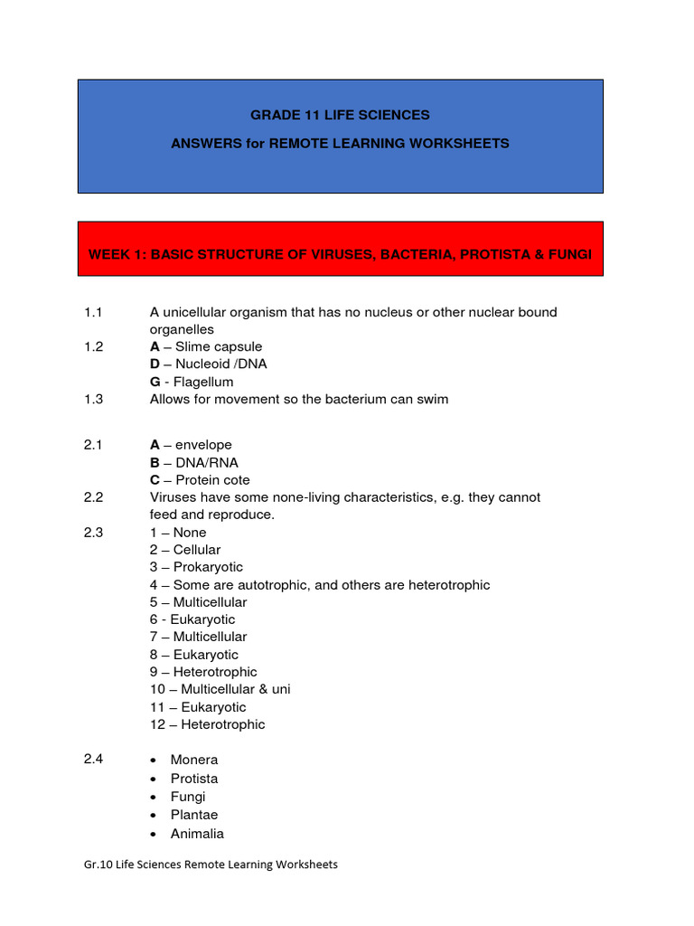 05 ANSWERS Remote Learning Worksheets Weeks 1 3 | PDF | Immunity (Medical) | Adaptive Immune System