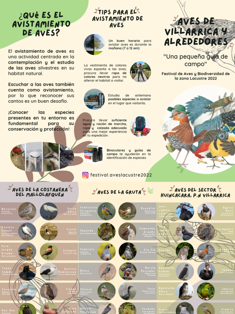 Guia de campo (1) (2) | PDF | Aves | Ornitología