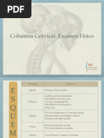Columna Vertebral Posiciones Radiologicas | PDF | La columna vertebral ...