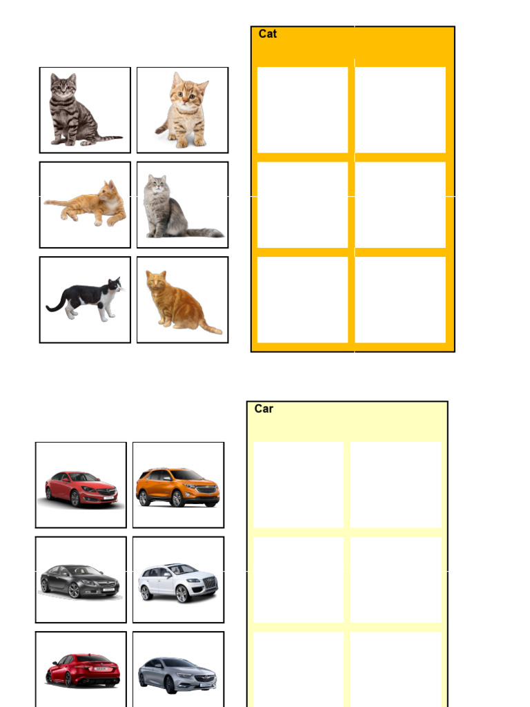 Matching Non Identical Pictures Free Task Cards For Speech Therapy and ...