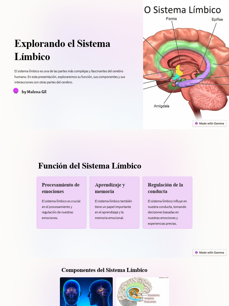 Explorando El Sistema Limbico | PDF | Las emociones | Sistema límbico