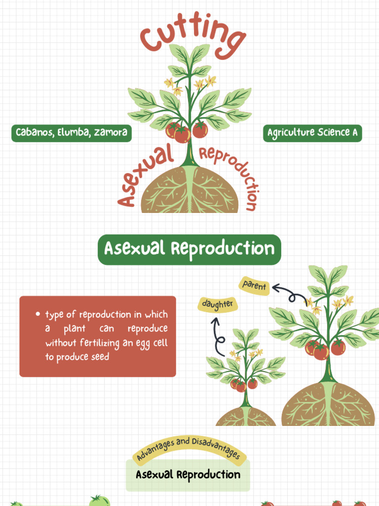 AP Cutting | PDF | Leaf | Agriculture