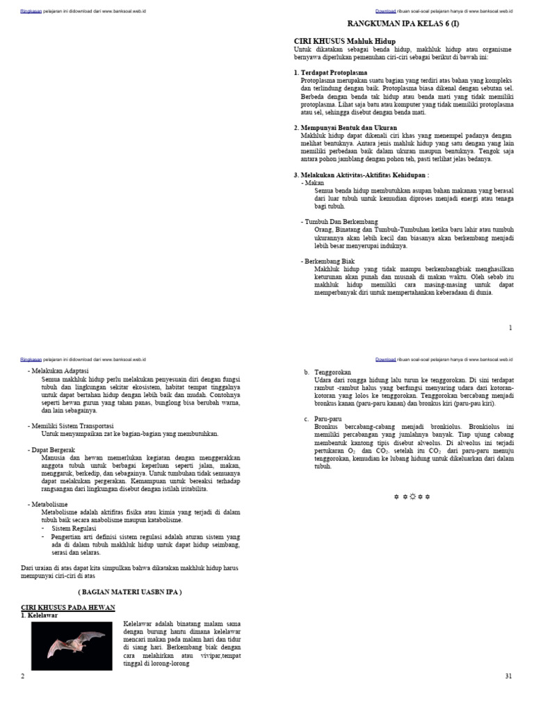 WWW - Banksoal.web - Id Rangkuman Materi Ipa Kelas 6 SD | PDF ...