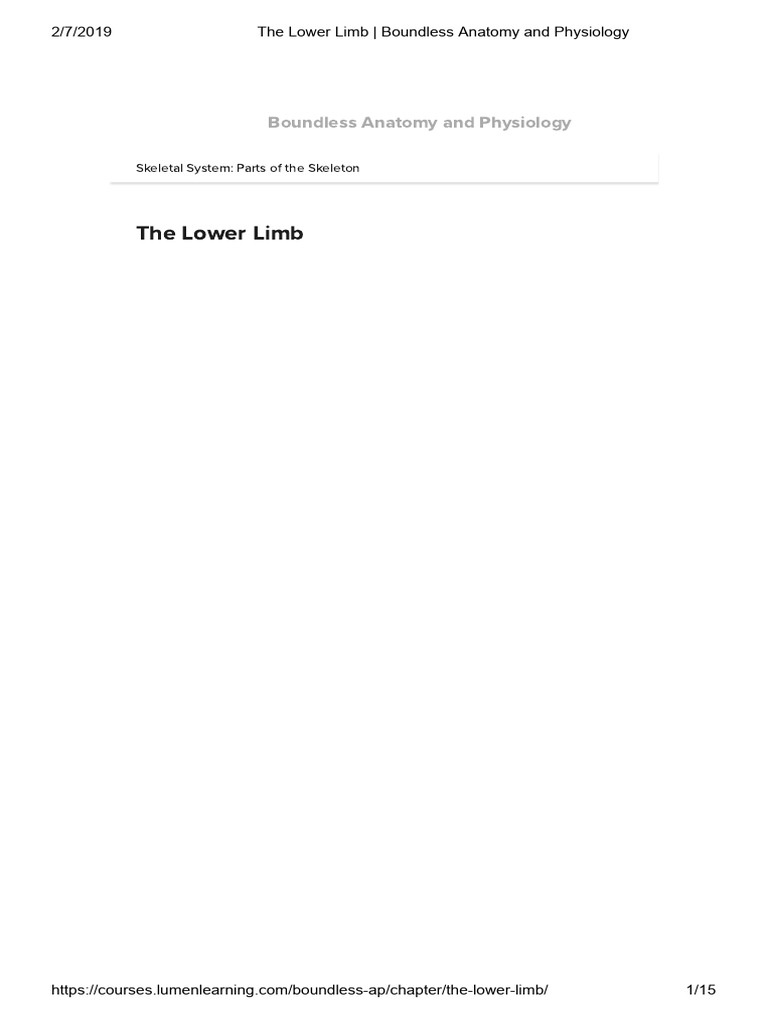 The Lower Limb - Boundless Anatomy and Physiology | PDF | Foot | Knee The Lower Limb - Boundless Anatomy and Physiology | PDF | Foot | Knee