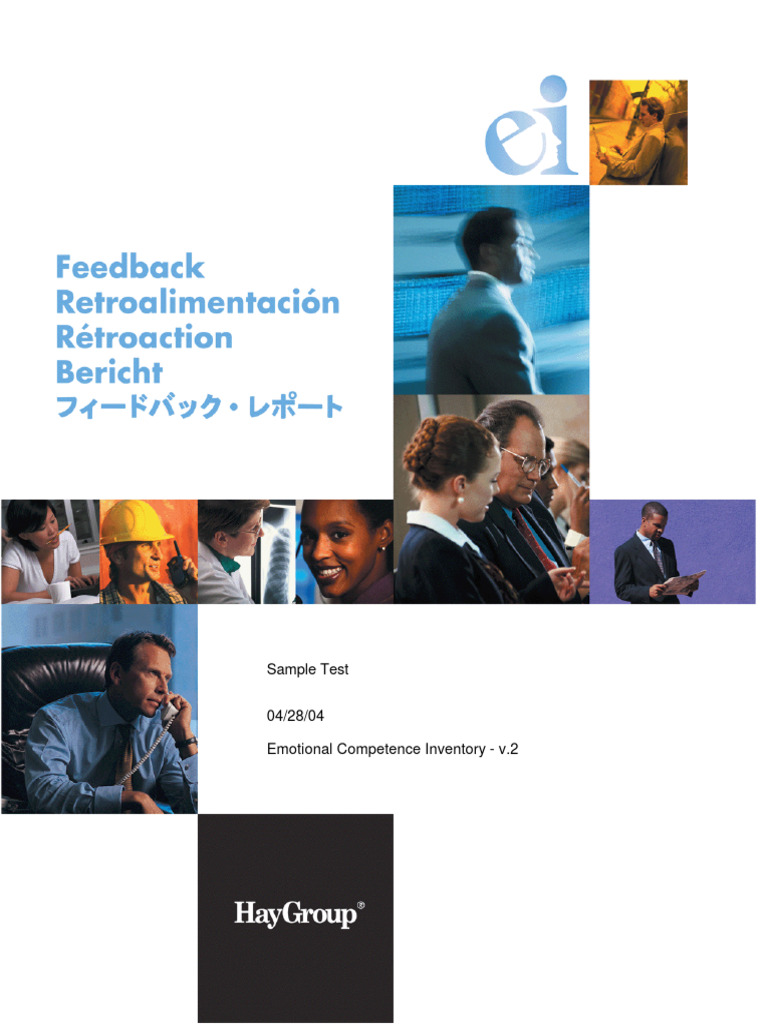 Eci Sample For Website | PDF | Emotional Intelligence | Self Awareness