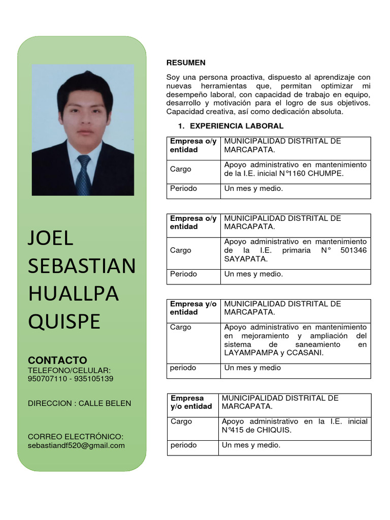 CV Sebastian Huallpa Quispe | PDF