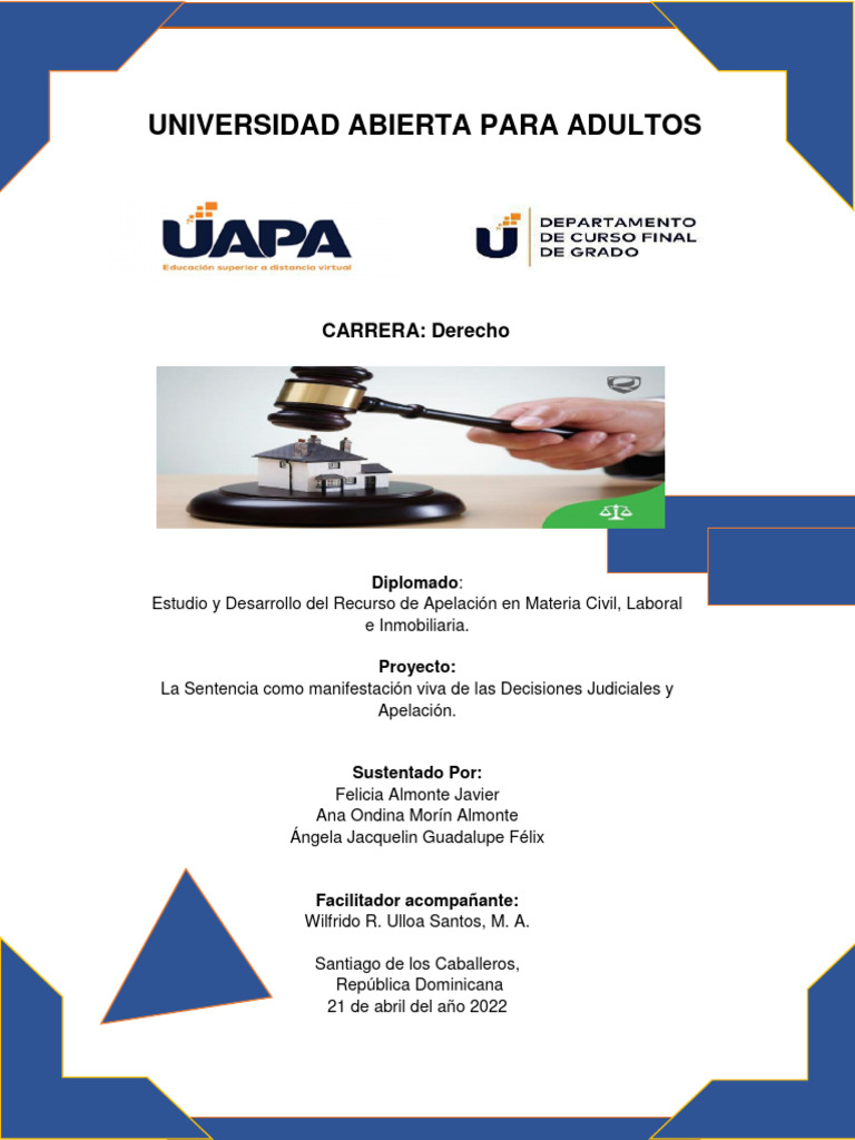 INFORME-La Sentencia Como Manifestación Viva de Las Decisiones Judiciales y Apelación ...