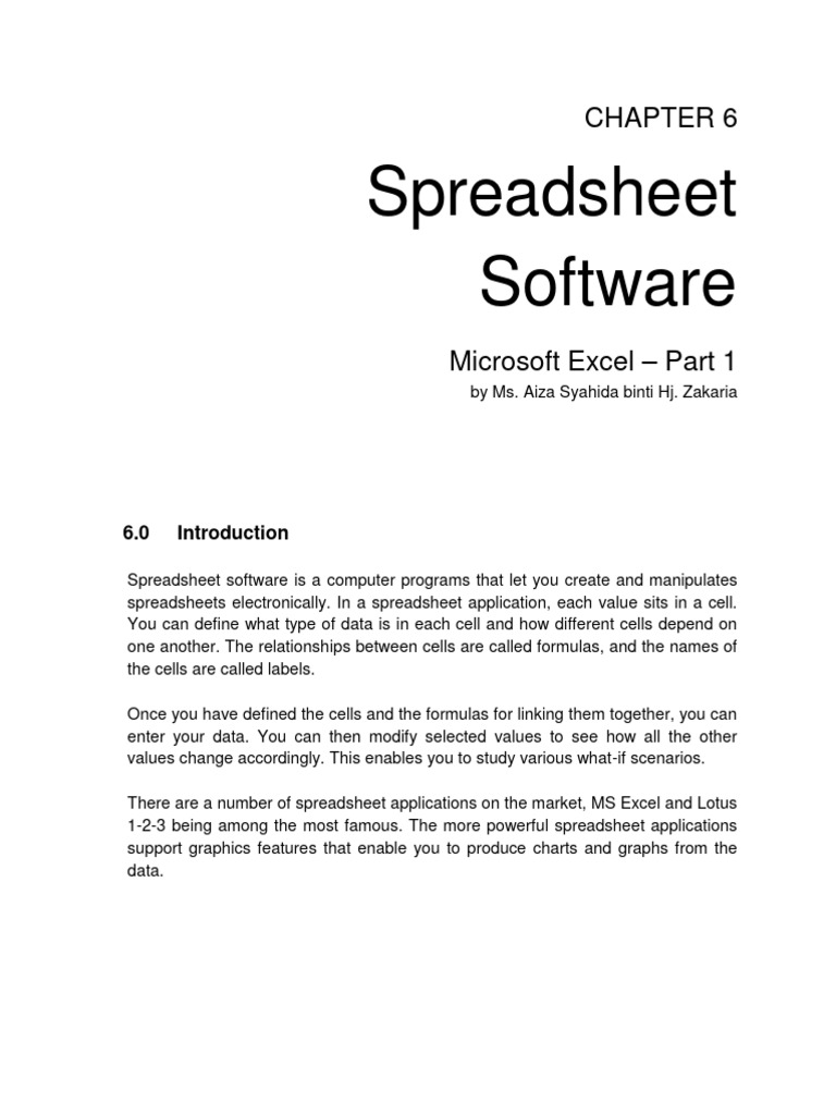 Chapter 6 Spreadsheet Software Part 1 | PDF | Spreadsheet | Microsoft Excel