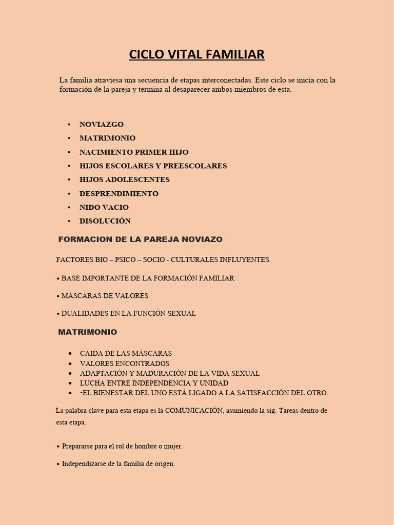 Ciclo Vital Familiar | PDF | Educación de la primera infancia
