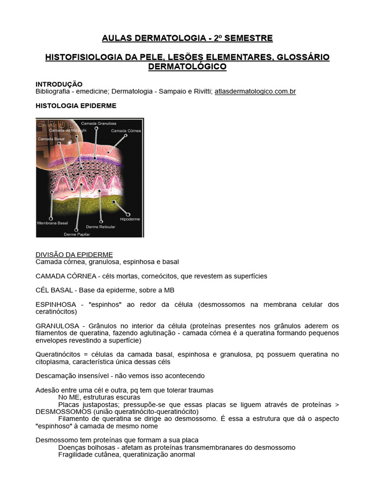 Dermato 3 + 4 | PDF | Lepra | Dermatite