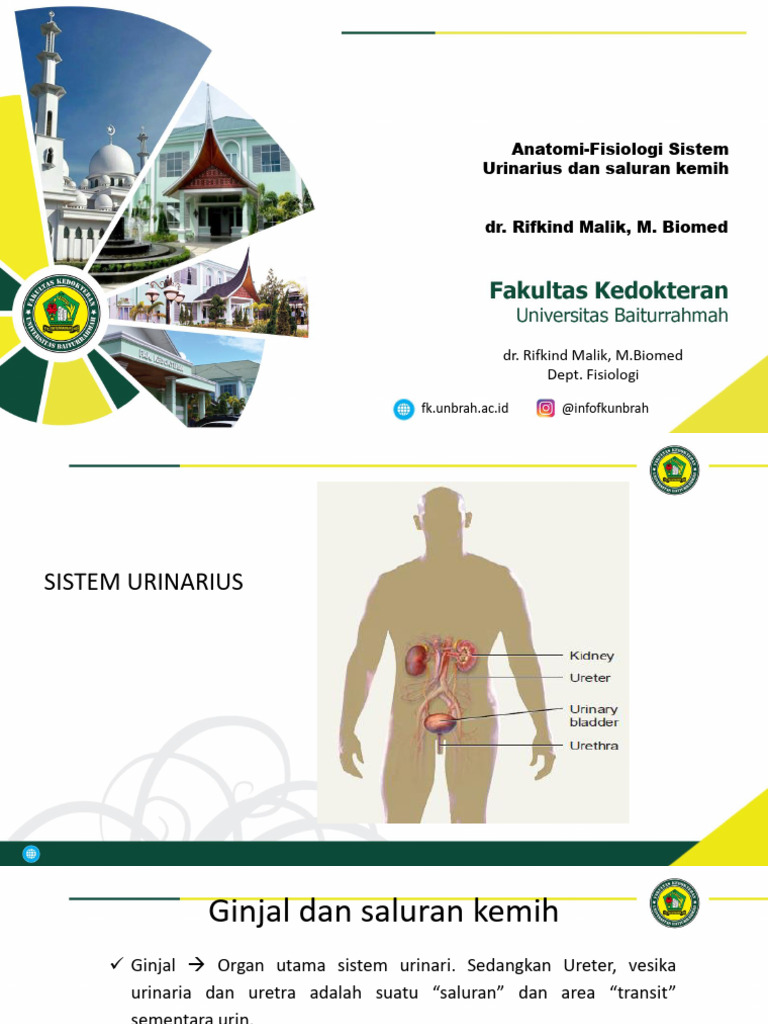 ANFIS - 01 Sistem Urinarius Dan Saluran Kemih | PDF