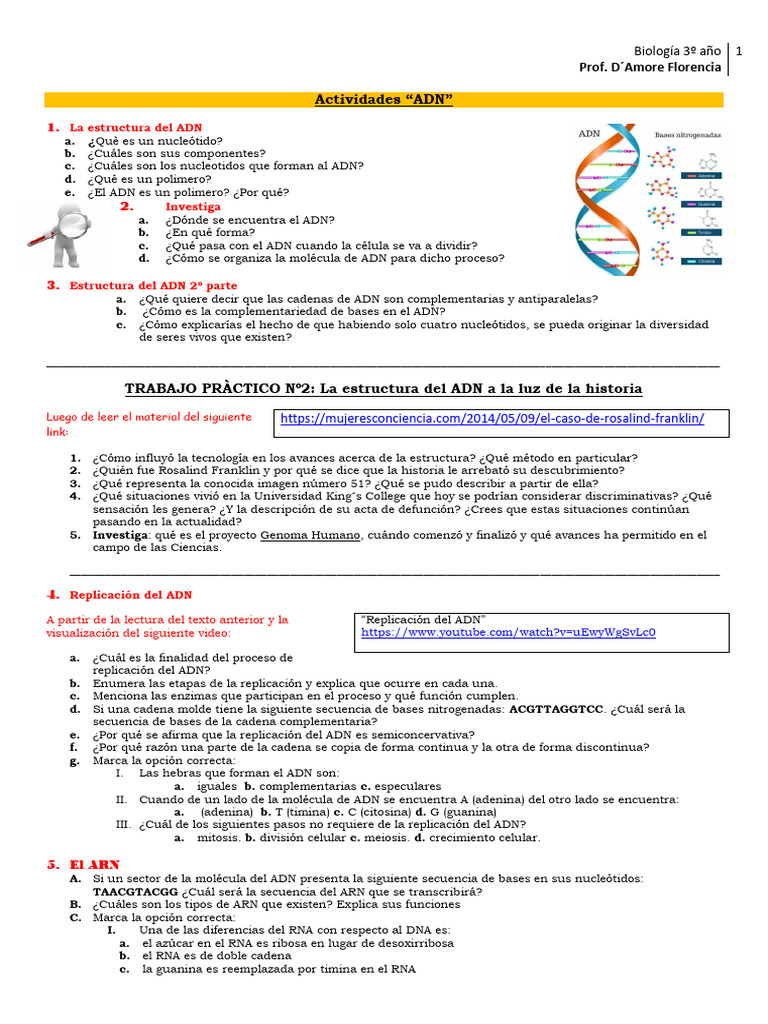Estructura y Función del ADN en Biología | PDF | Rna | Codigo genetico