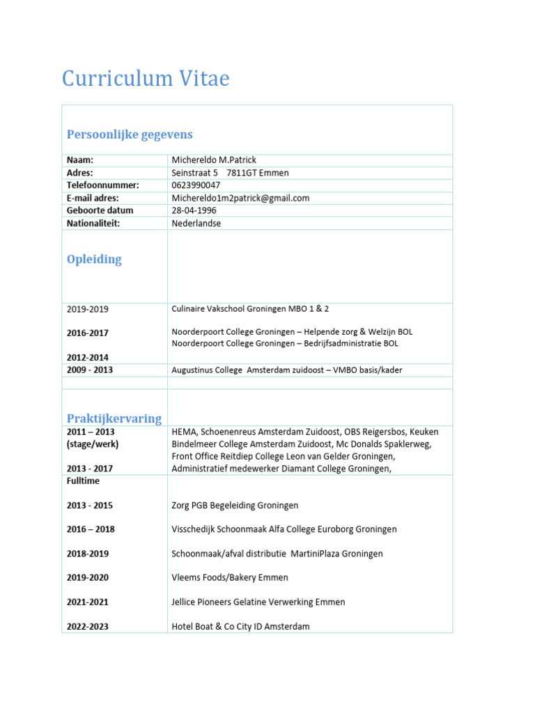 Michereldo Patrick CV | PDF