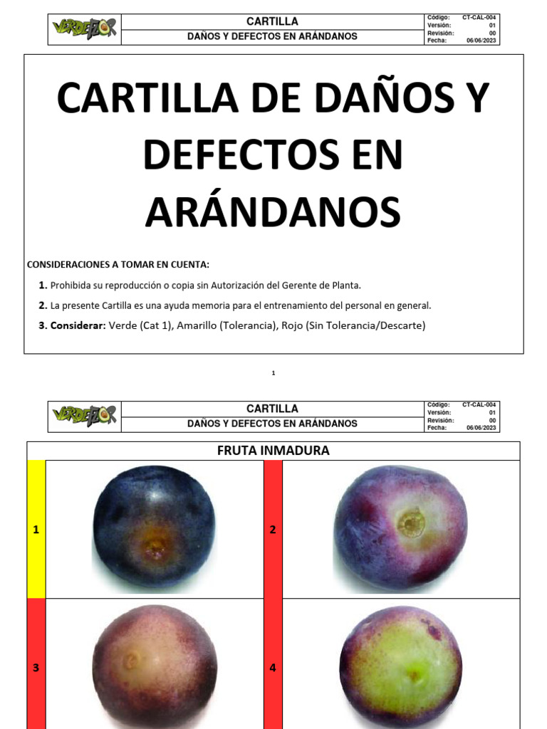 Daños y Defectos en Arándanos | PDF