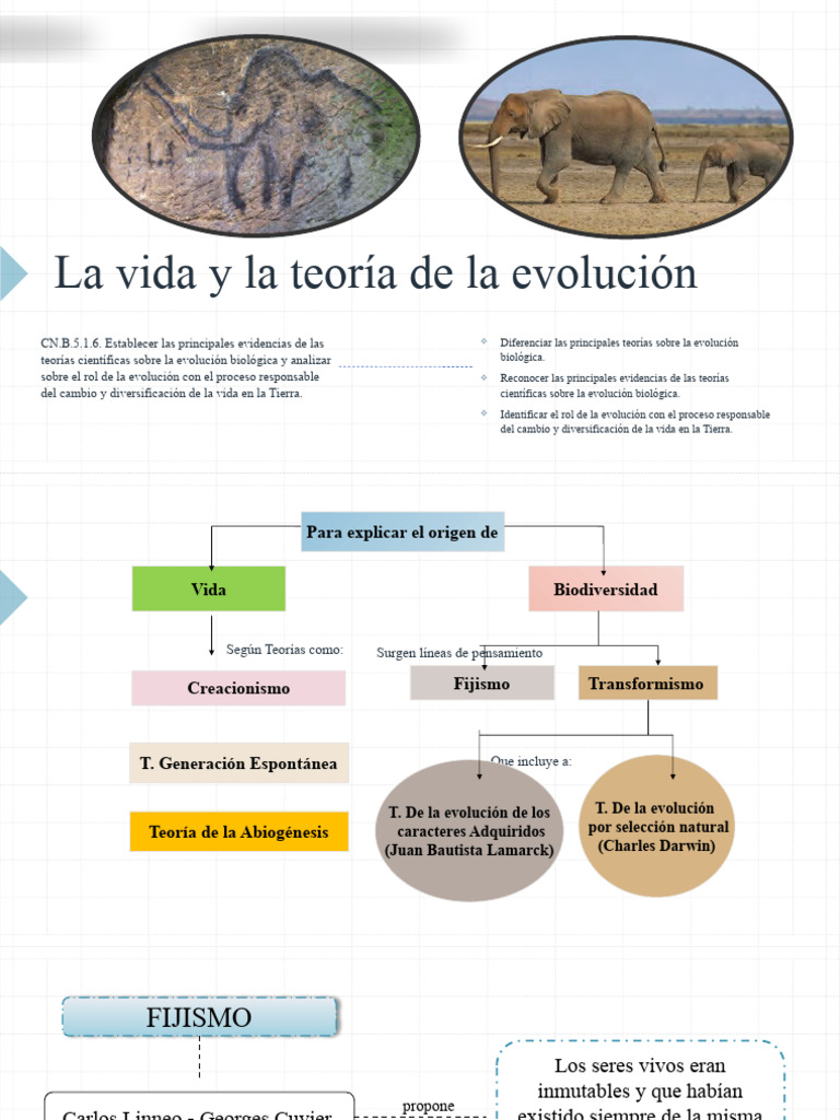 2r - Teorias de La Evolucion | PDF | Evolución | Seleccion natural
