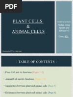 Cbse Class Ix Animal Tissue Flow Chart | PDF | Epithelium | Tissue ...
