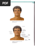 Netter's Human Anatomy Atlas Overview | PDF | Abdomen | Pelvis