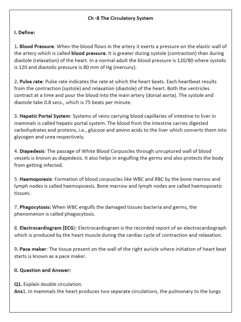 Circulatory System Class 10 | PDF | Heart | Atrium (Heart)