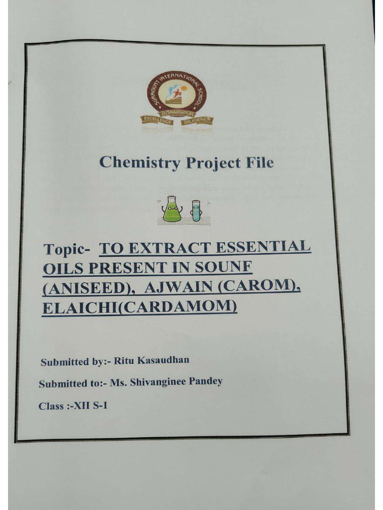 Project File | PDF