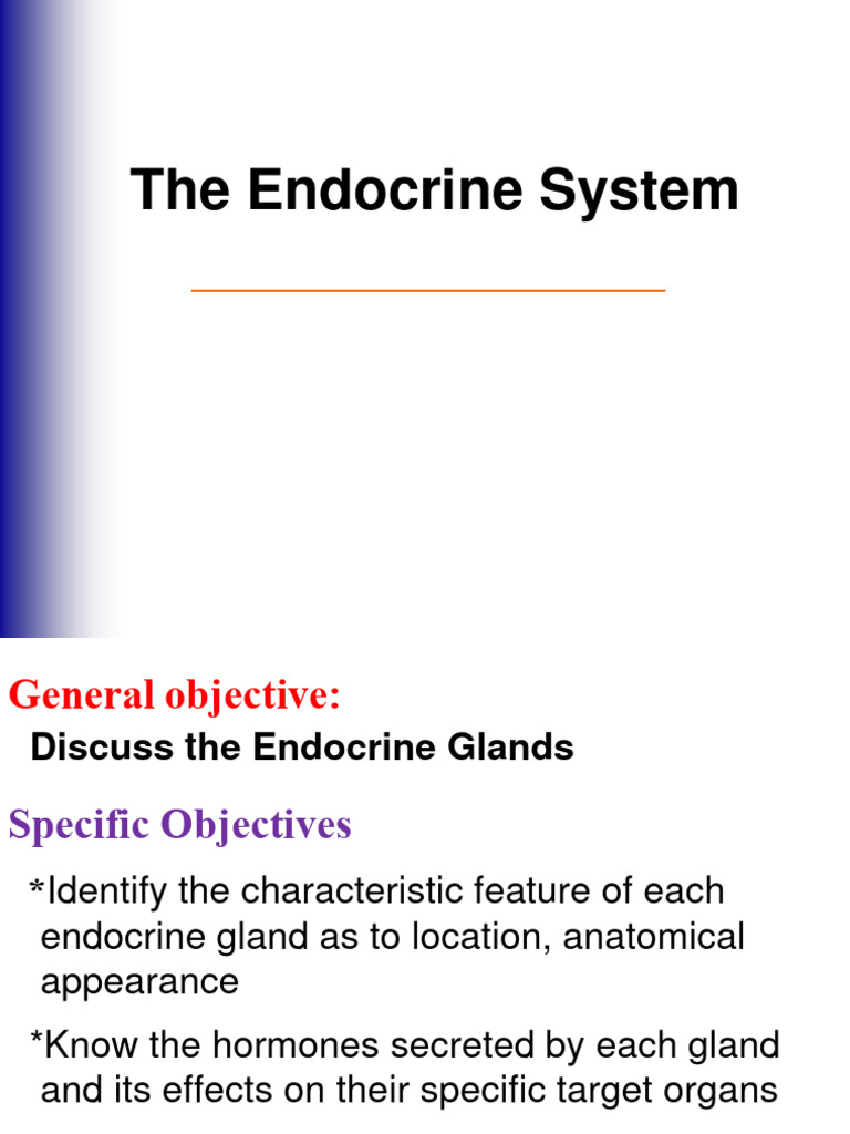 88 Endocrine LAB TRUE Stud | PDF | Pituitary Gland | Endocrine System