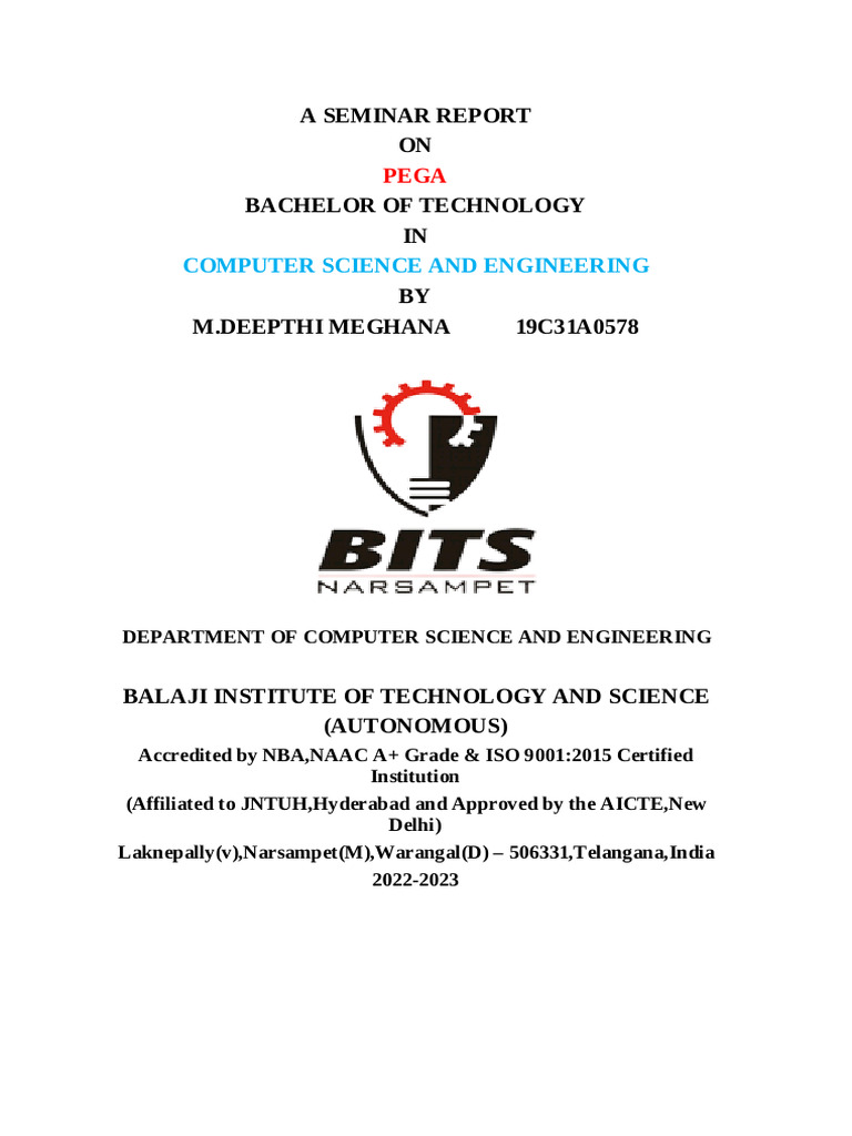 A Seminar Report Pdf Business Process Management Databases